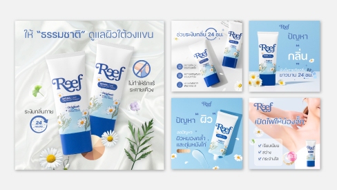 Reef - Sunnysideup Digital Agency